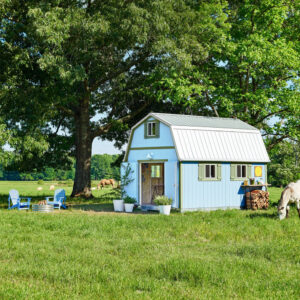 Tricolor TB-800 Shines – Tuff Shed